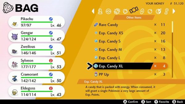 Pokémon Sword and Shield: The fastest way to level up Pokémon